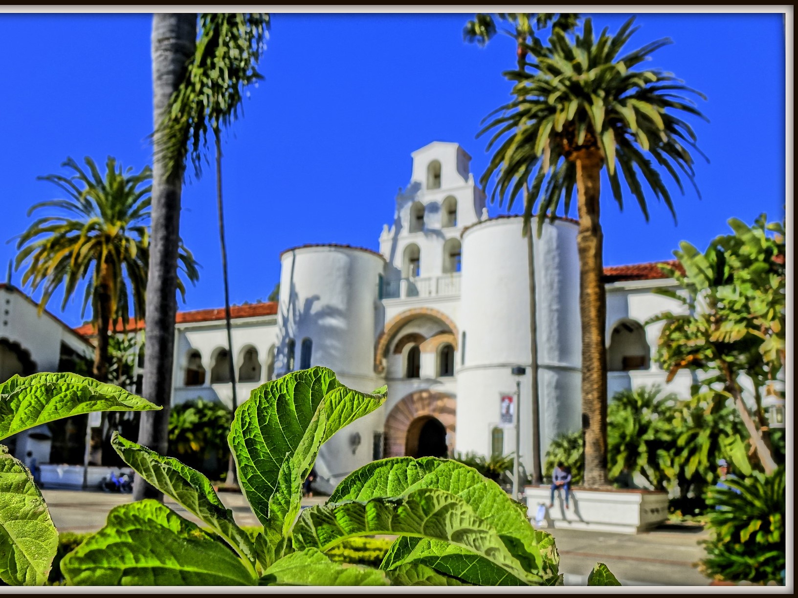 Insider Edition: Developing a New Program for SDSU Global Campus